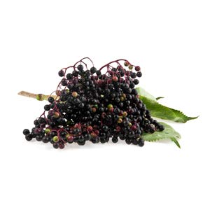 Elderberry powder for overall health support