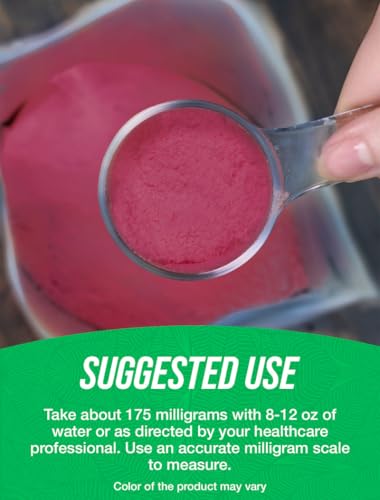 Elderberry powder for smoothies and shakes