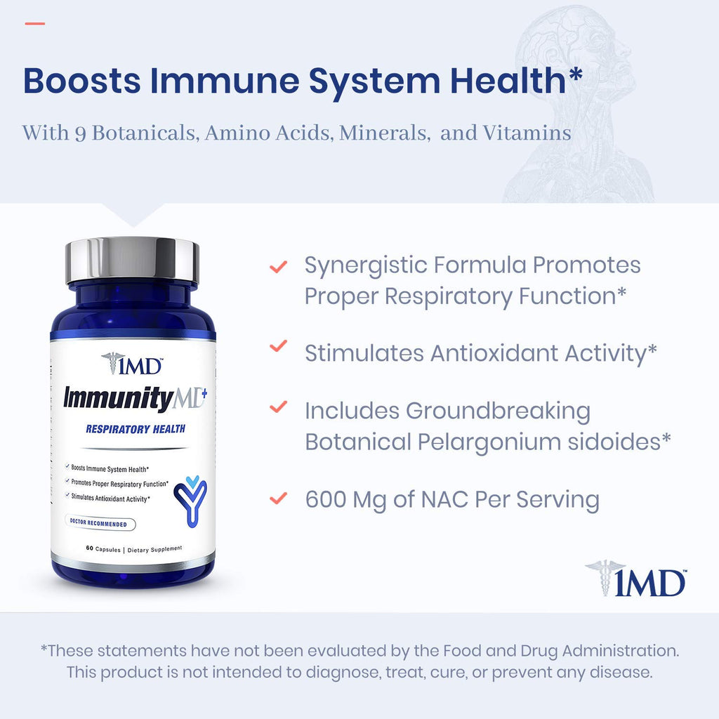 Elderberry probiotics for digestive health