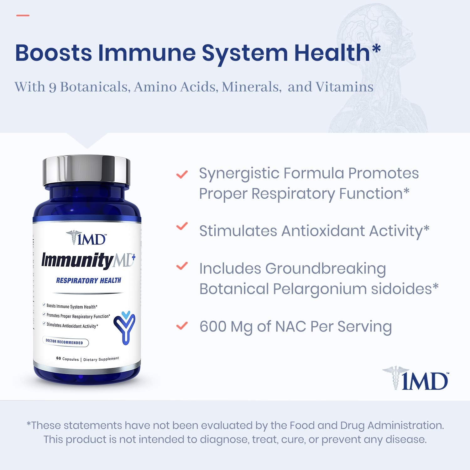 Elderberry probiotics for digestive health