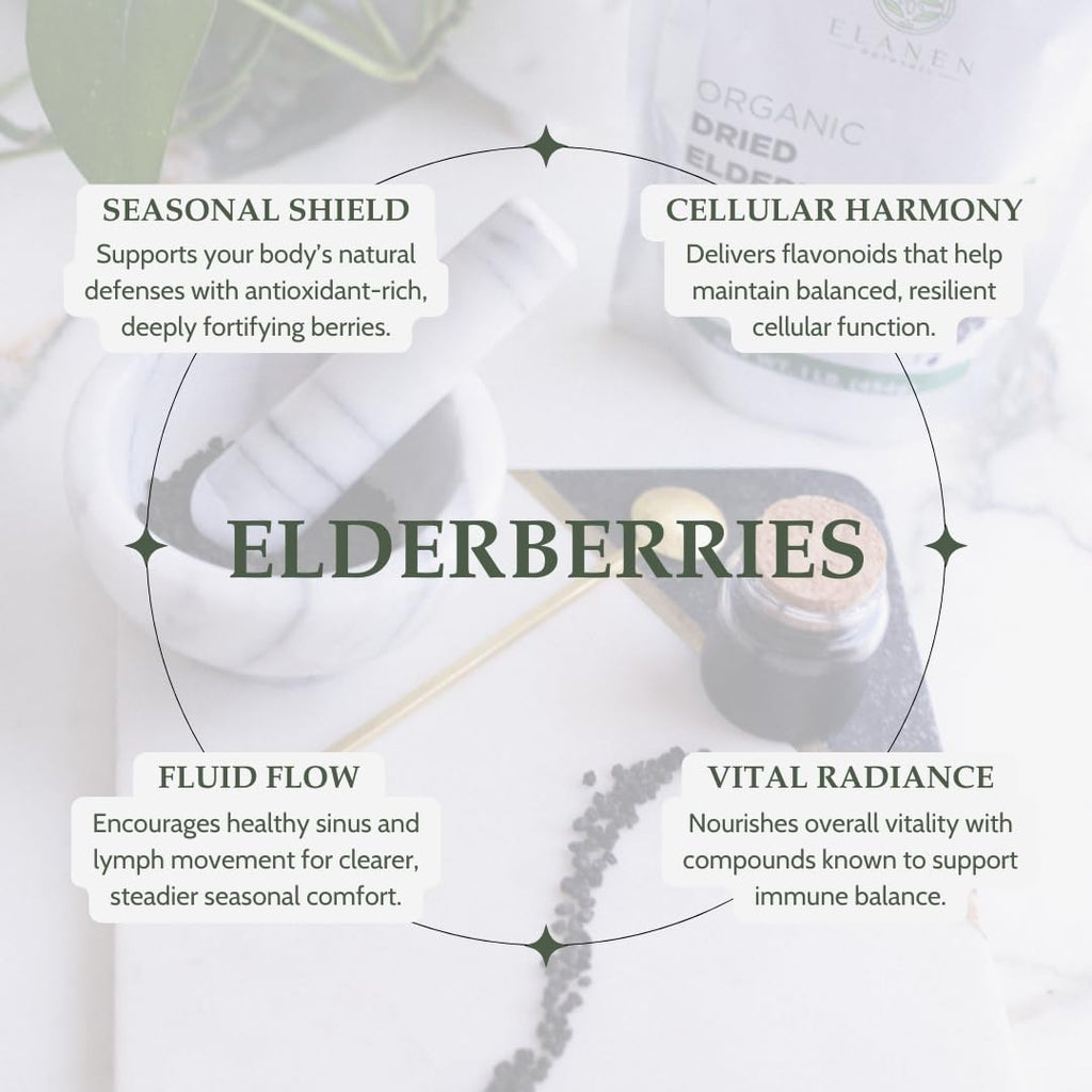 elderberry sambucus for wellness