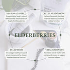 elderberry sambucus for wellness