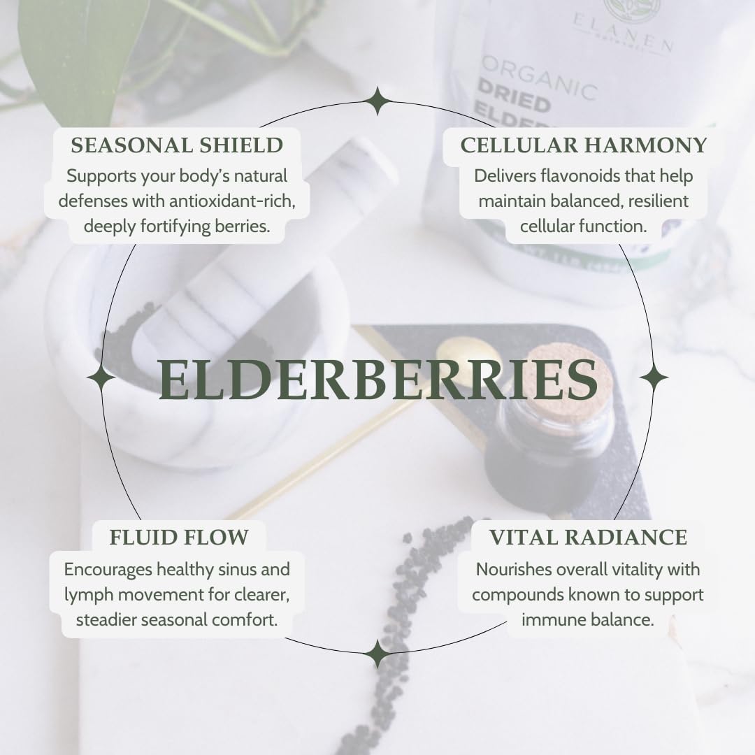 elderberry sambucus for wellness