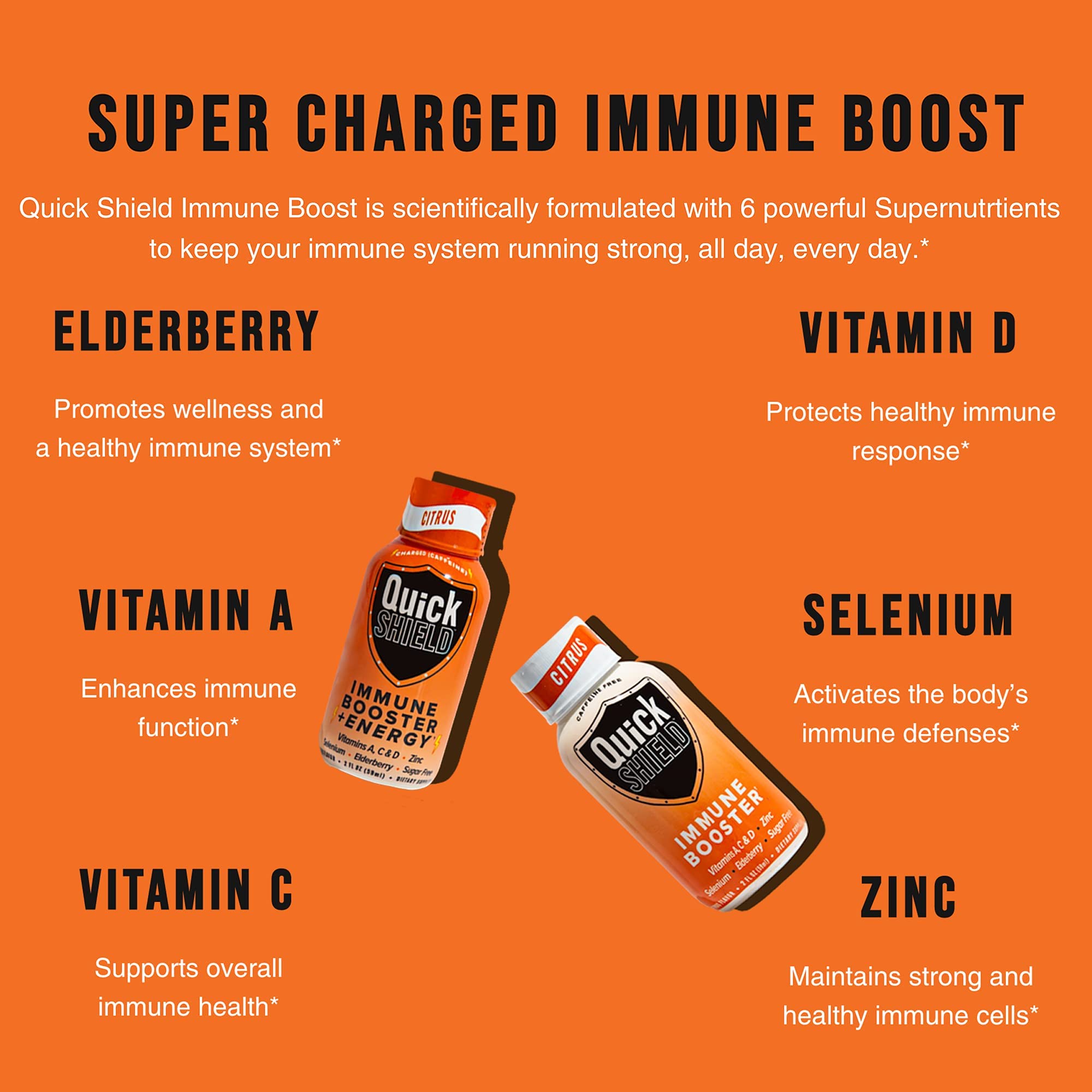 elderberry shot pack of 12