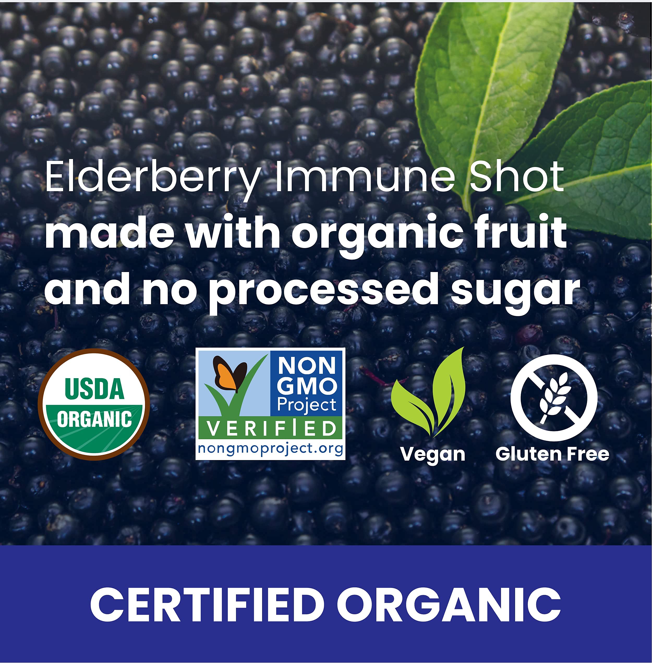 elderberry shots for seasonal health