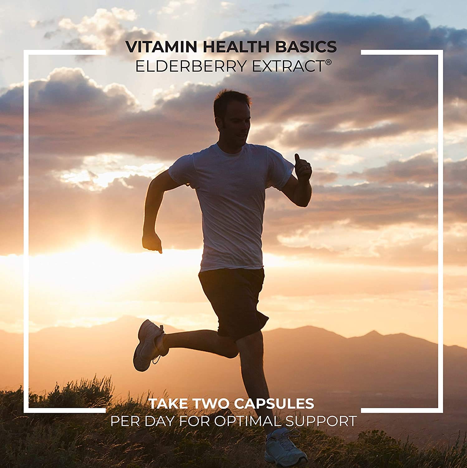 elderberry softgels for everyday wellness