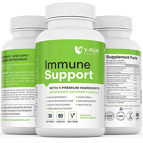 elderberry supplement for all seasons