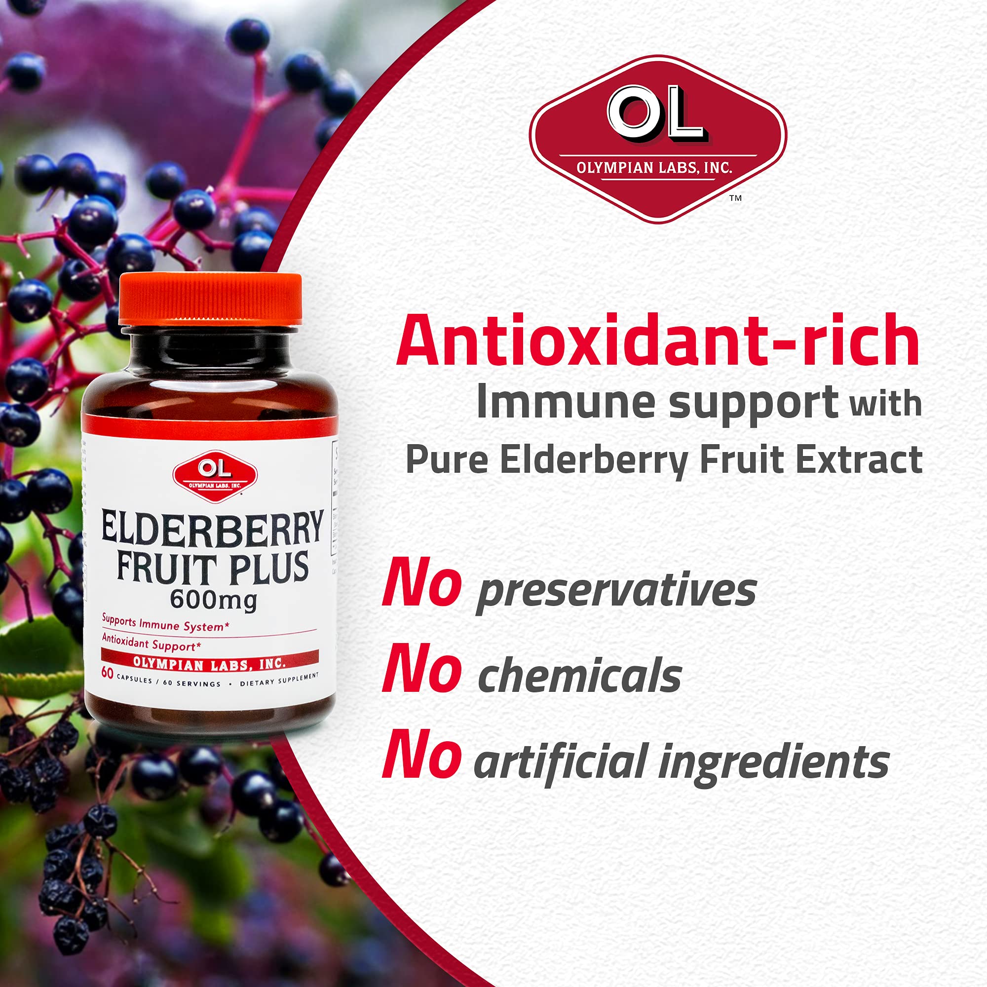 Elderberry supplement for antioxidant protection