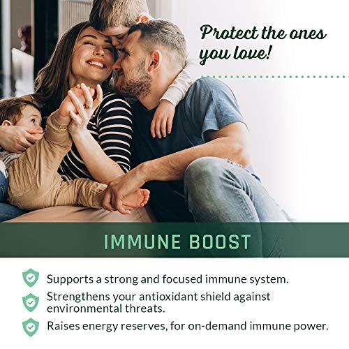 elderberry supplement for cold prevention