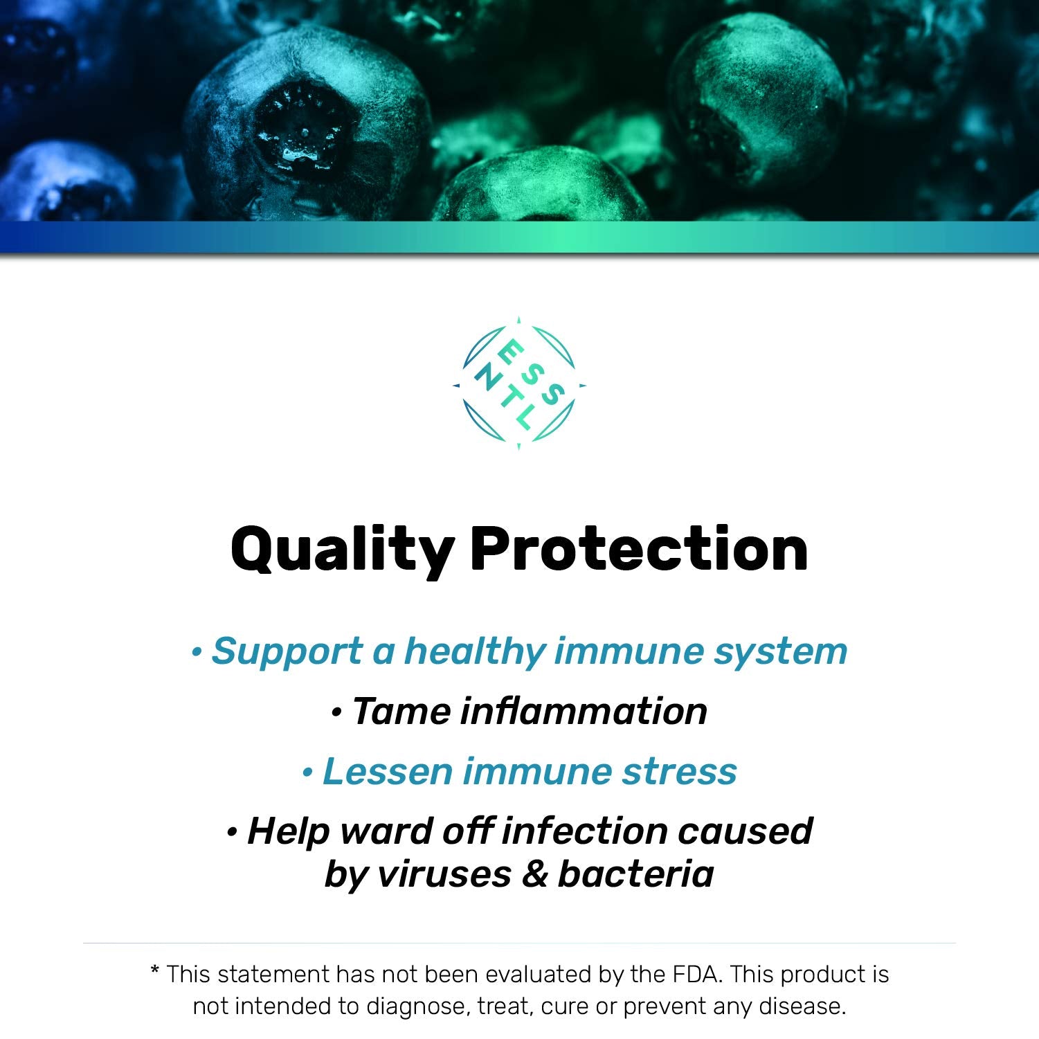 elderberry supplement for cold prevention