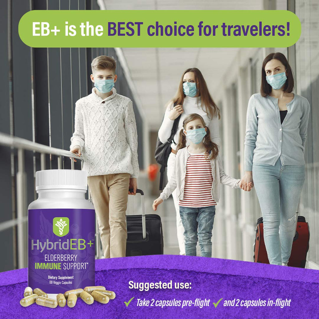 Elderberry supplement for cold season