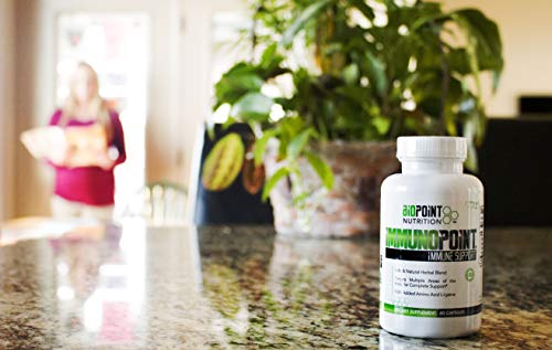 elderberry supplement for daily vitality