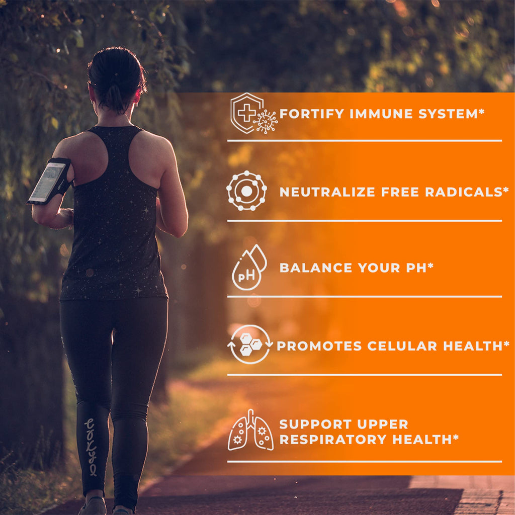 Elderberry supplement for daily vitality