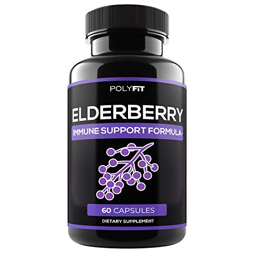 elderberry supplement for daily wellness
