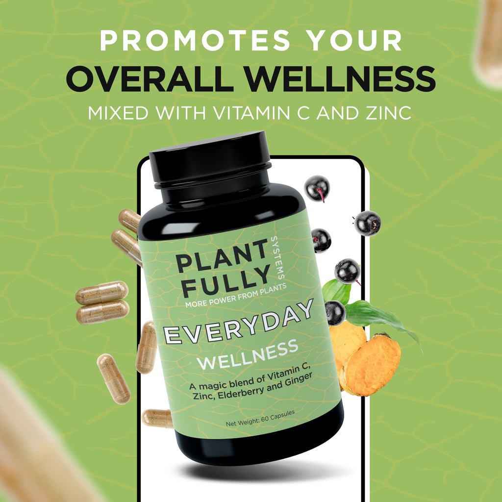 elderberry supplement for everyday health