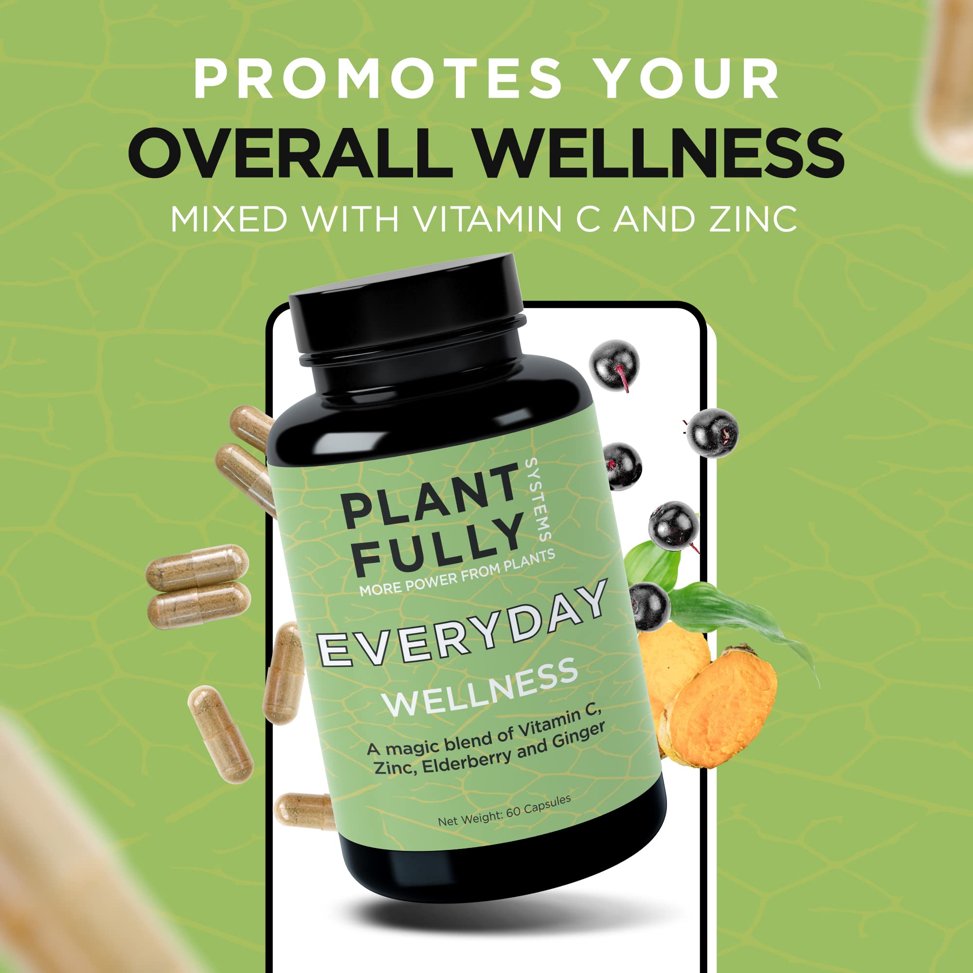 elderberry supplement for everyday health