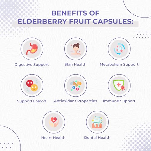 Elderberry supplement for everyday immunity