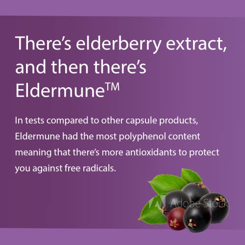 Elderberry supplement for family health