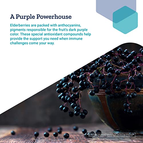 Elderberry supplement for family wellness