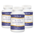 elderberry supplement for immune health
