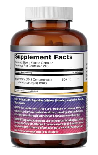 elderberry supplement for immune system boost