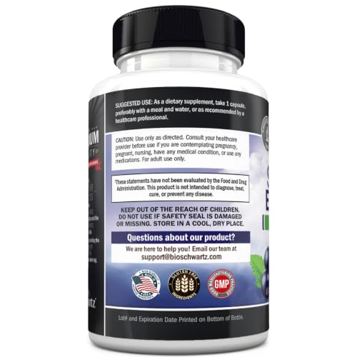 elderberry supplement for overall health
