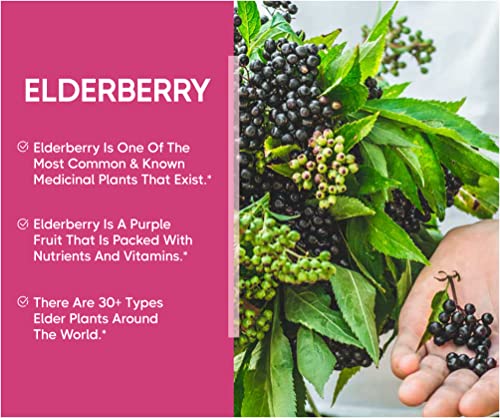 elderberry supplement for overall health