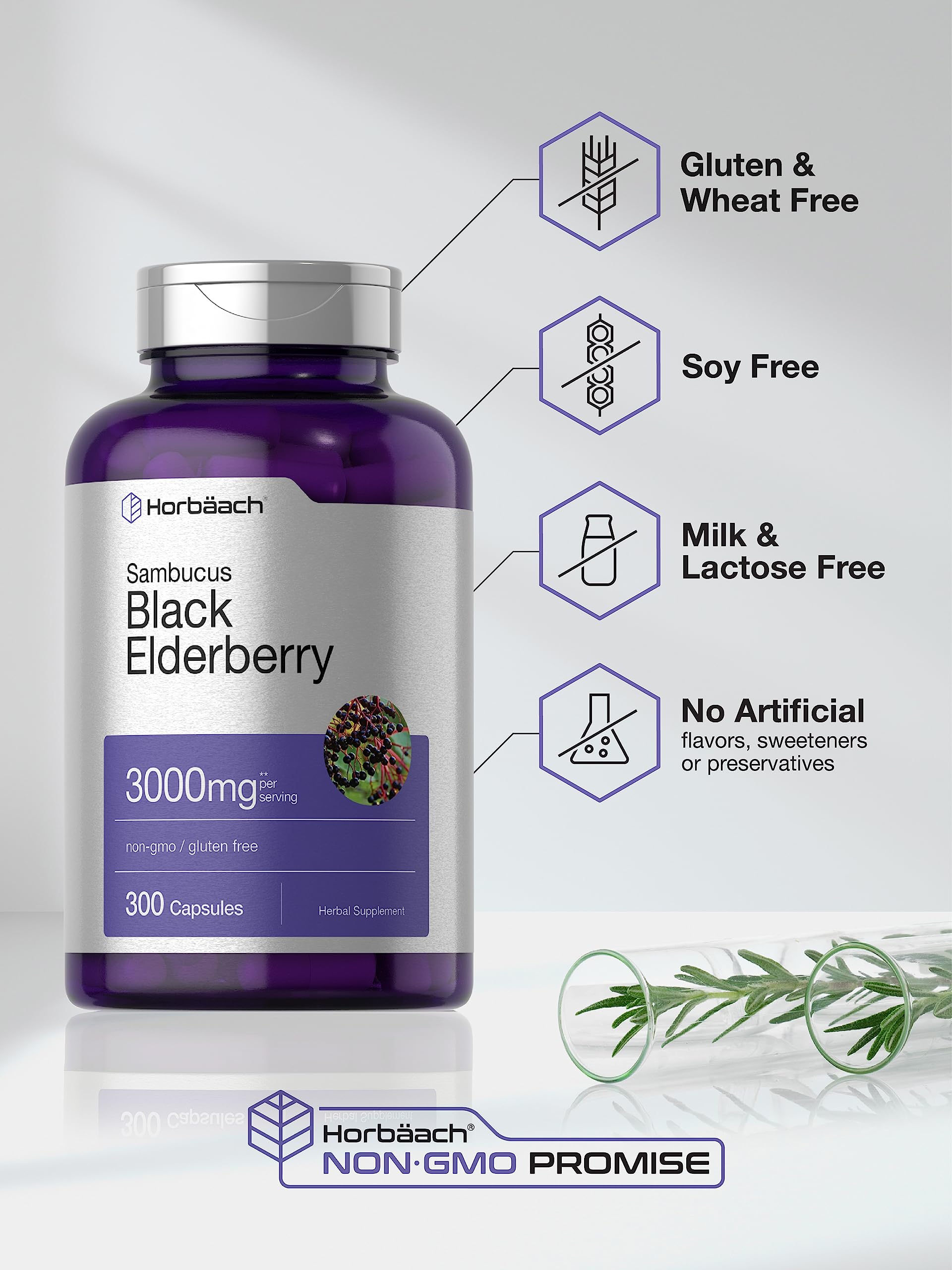 Elderberry supplement for overall health