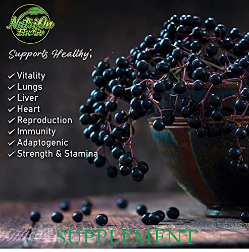 Elderberry supplement for overall wellness