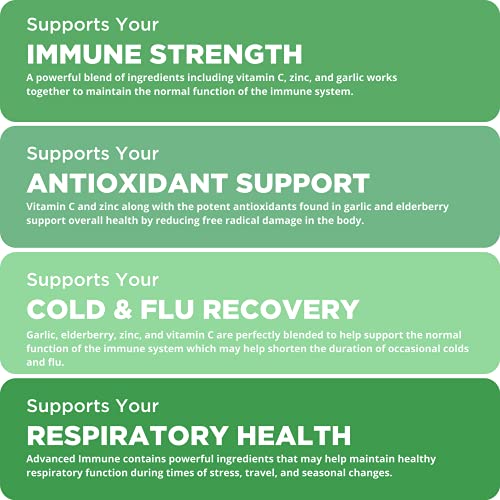 elderberry supplement for seasonal health