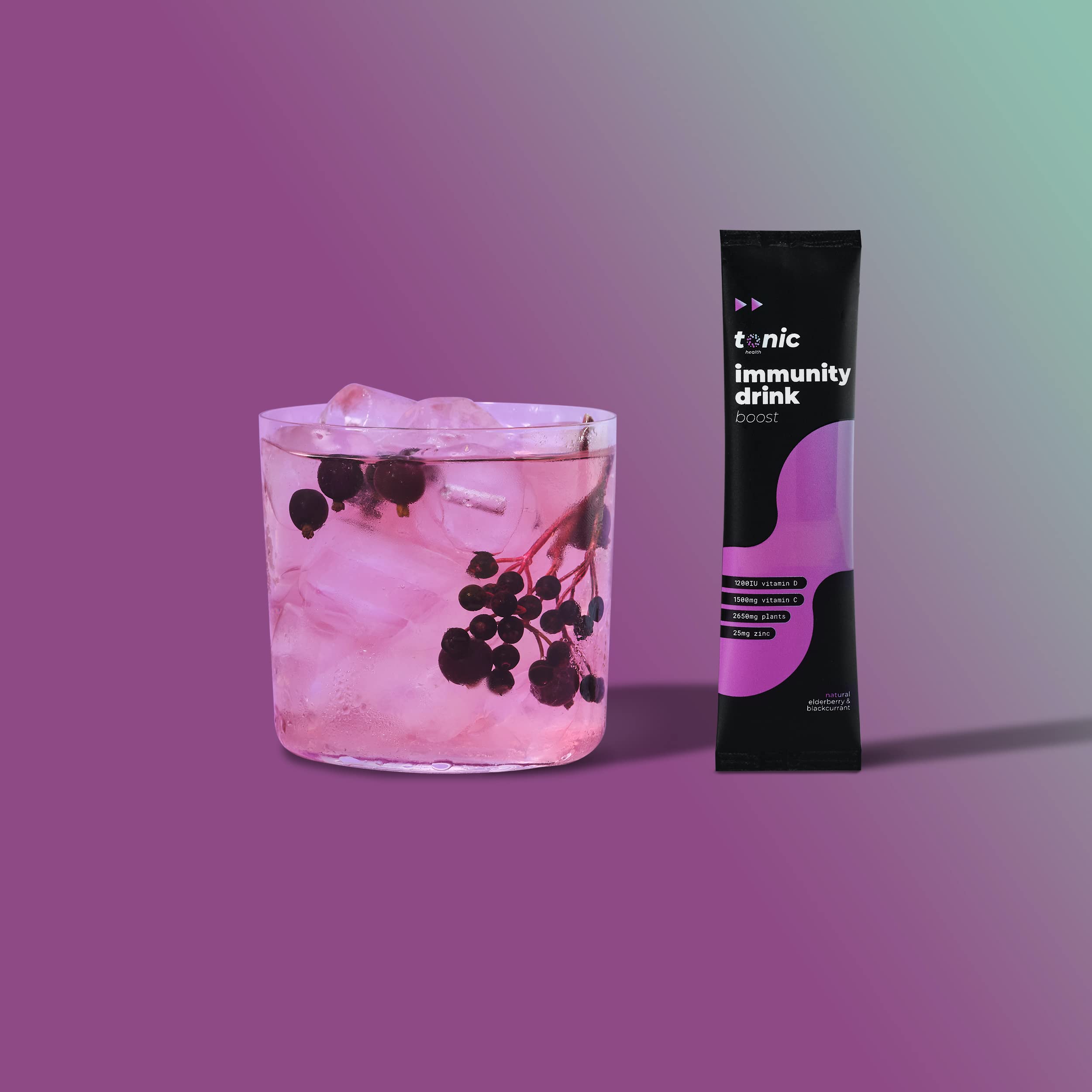 elderberry supplement for seasonal wellness