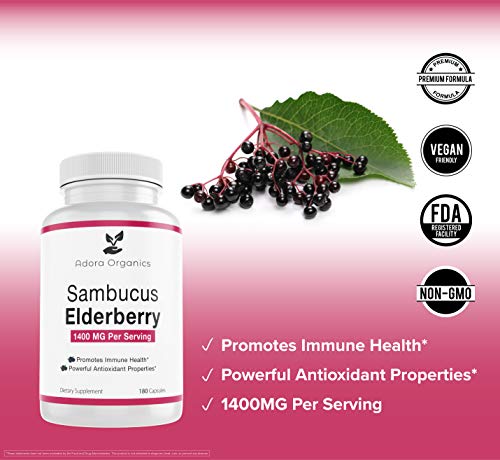 elderberry supplement for seasonal wellness