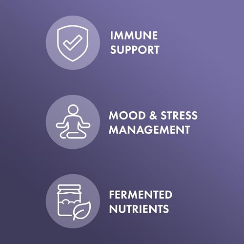 elderberry supplement for seasonal wellness