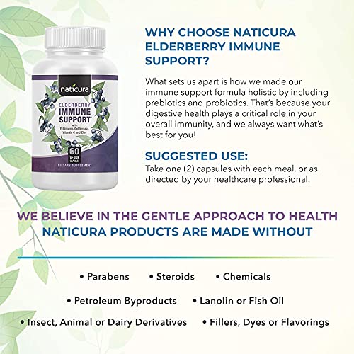 Elderberry supplement with probiotics