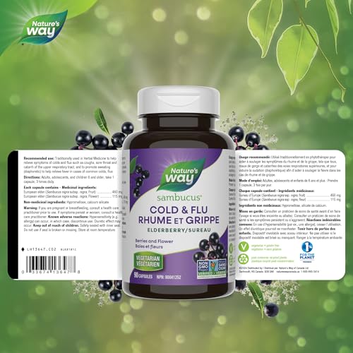 elderberry syrup for better recovery