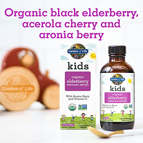 elderberry syrup for cold relief