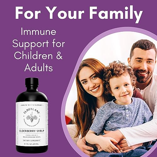elderberry syrup for cold relief