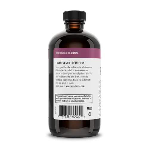 elderberry syrup for cold relief