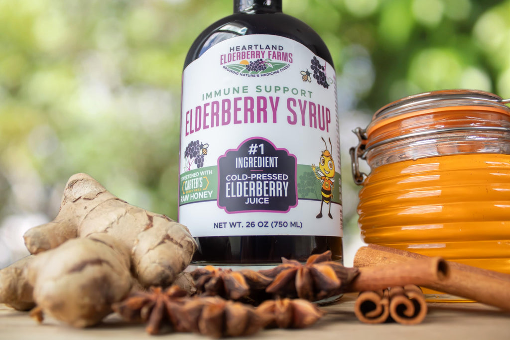 elderberry syrup for cold relief