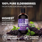 elderberry syrup for cold relief