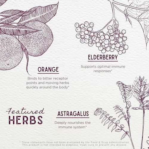 elderberry syrup for cold relief