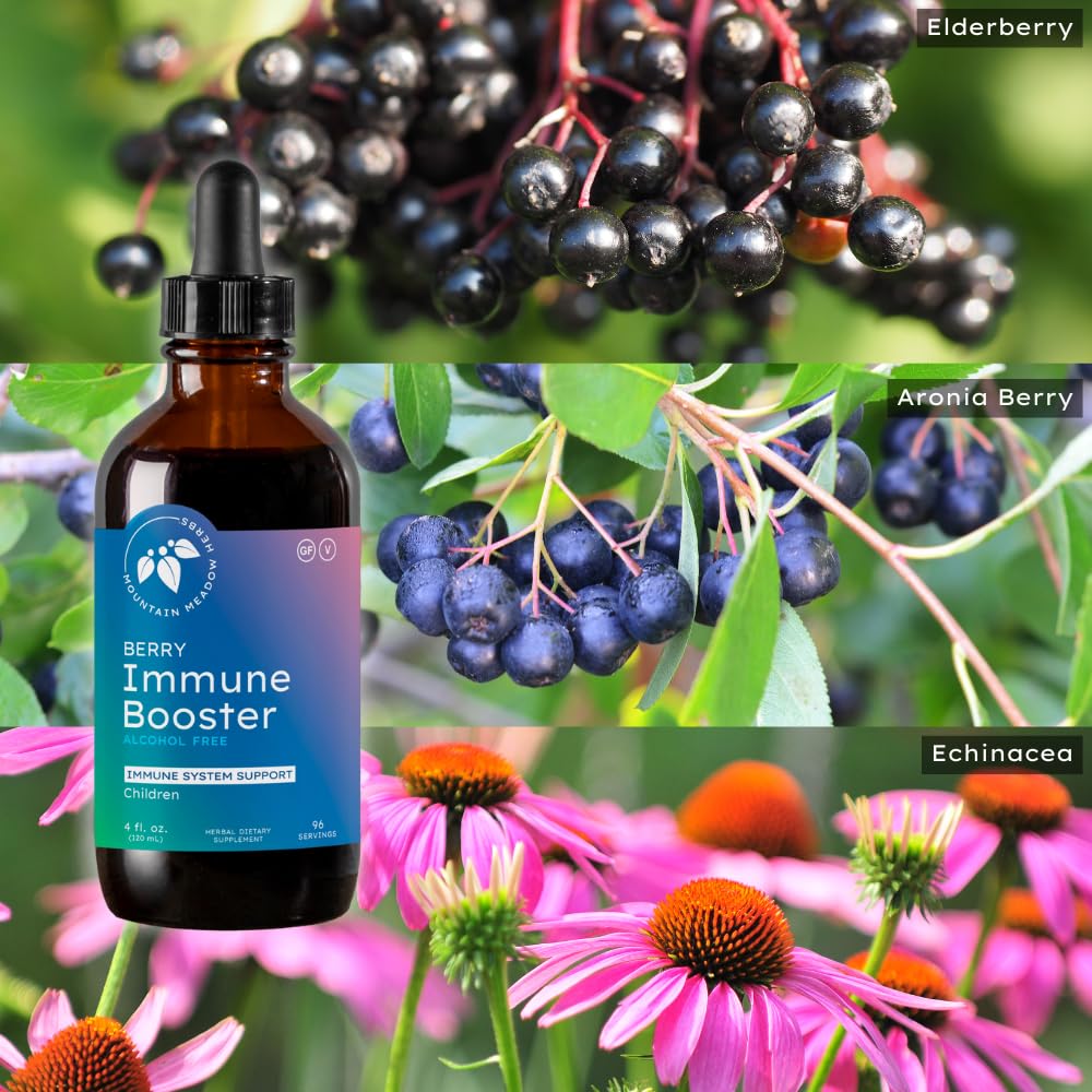 Elderberry syrup for cold season
