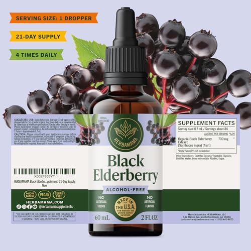 elderberry syrup for delicious drinks