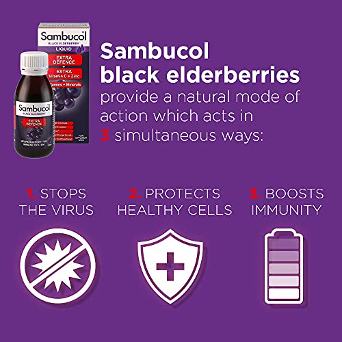 elderberry syrup for everyday use