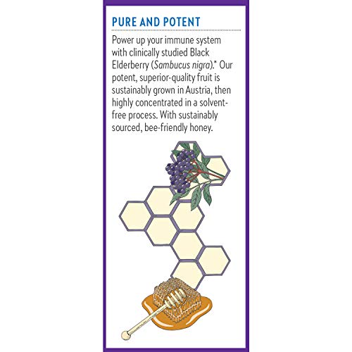 elderberry syrup for everyday use