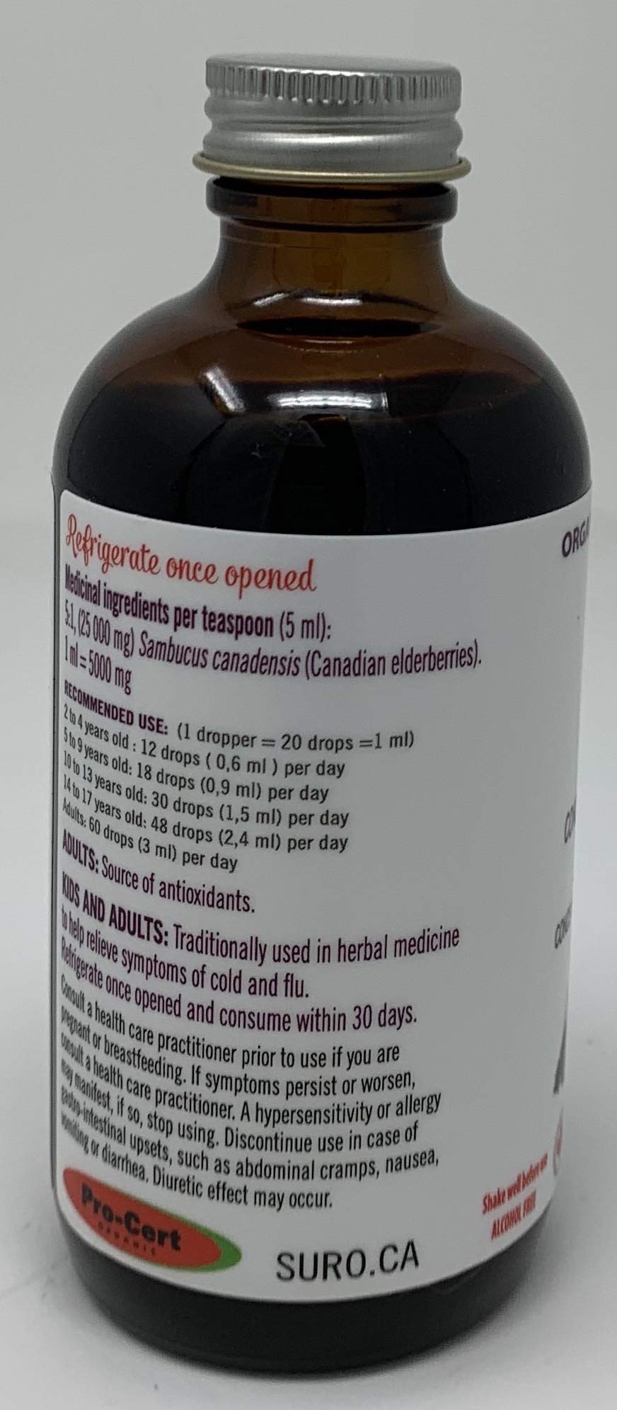 elderberry syrup for flu prevention