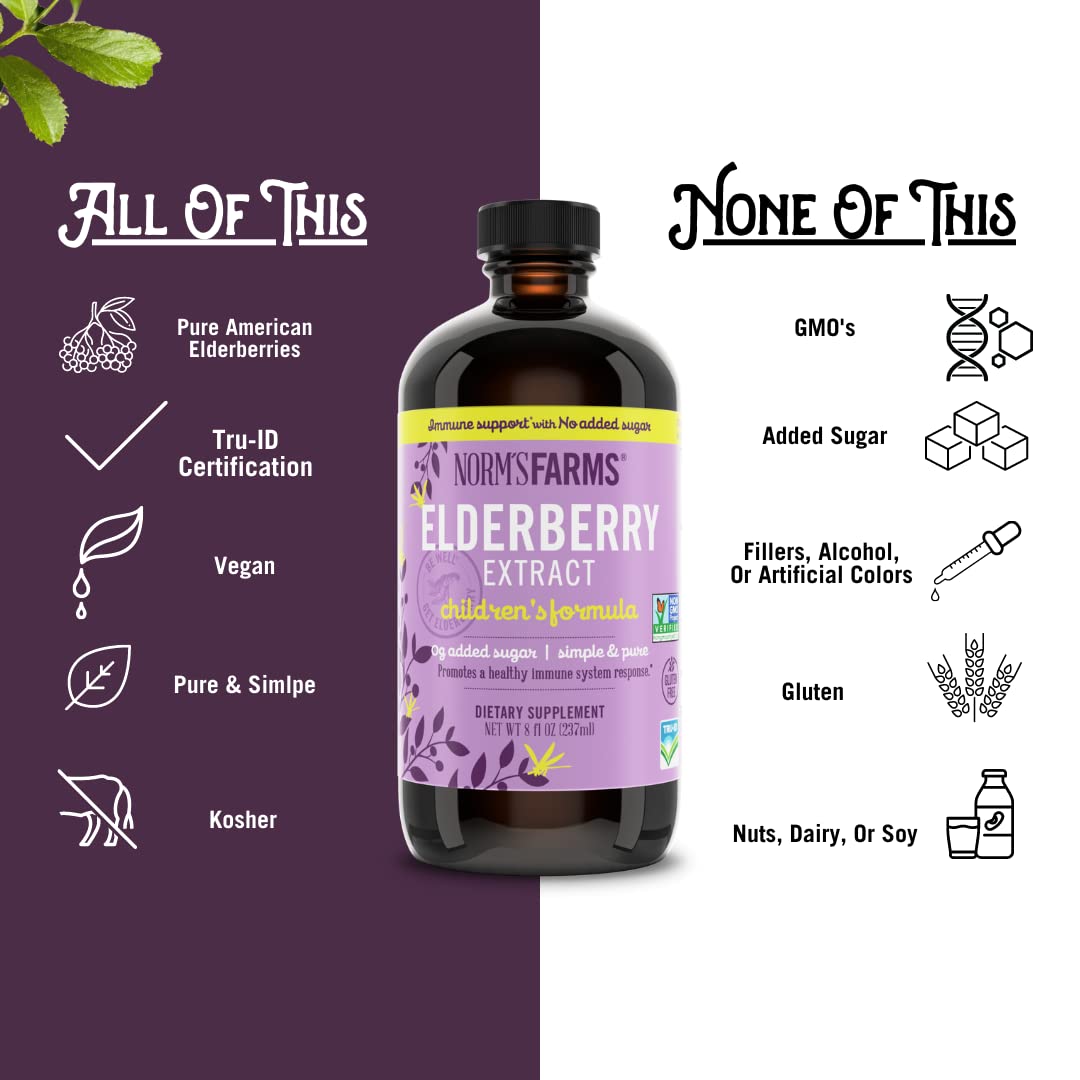 elderberry syrup for healthy kids