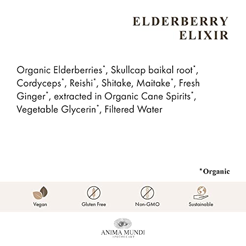 elderberry syrup for holistic health