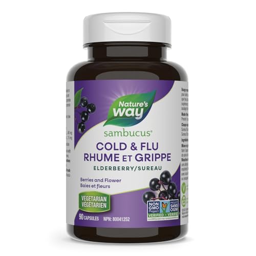 elderberry syrup for immune support