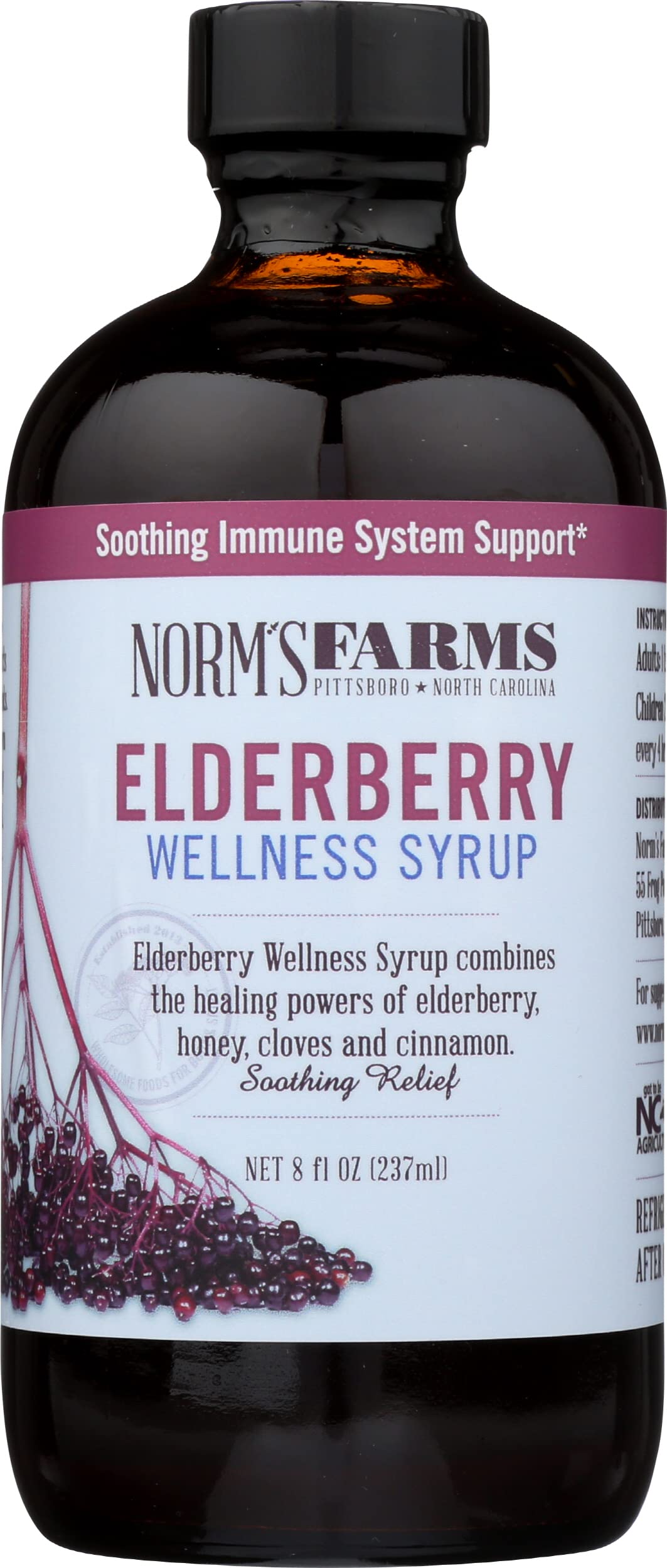 Elderberry syrup for immune support